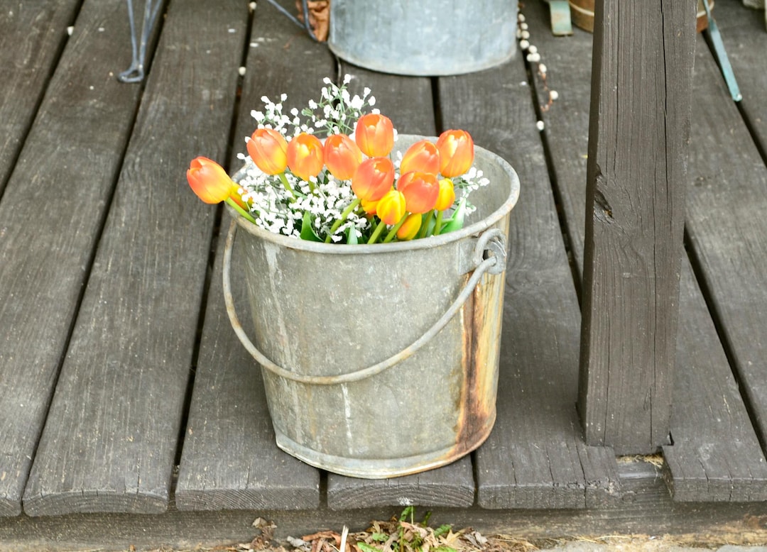 Galvanized Bucket, Vintage Holey Galvanized Pail, Planter Bucket - Etsy