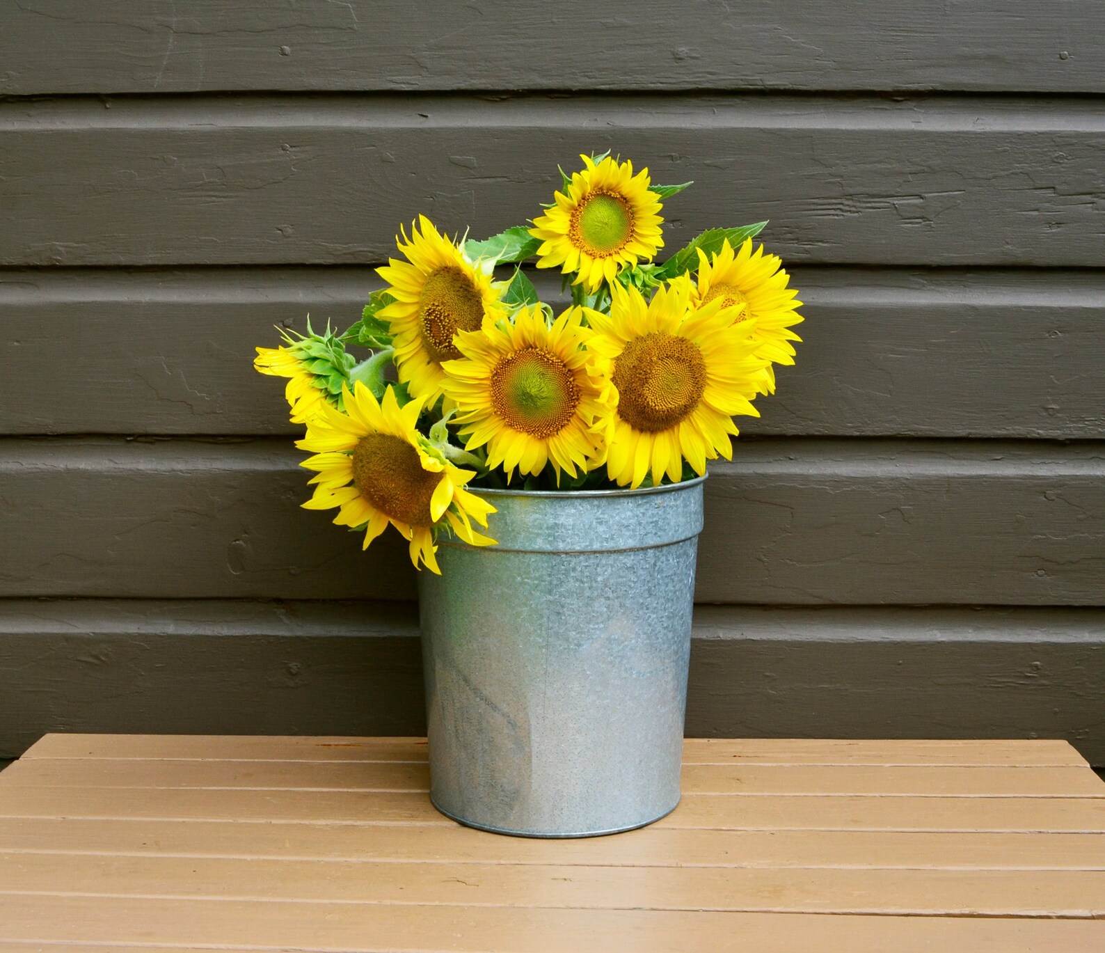 Galvanized Sap Bucket Tall Galvanized Sap Bucket Vintage - Etsy