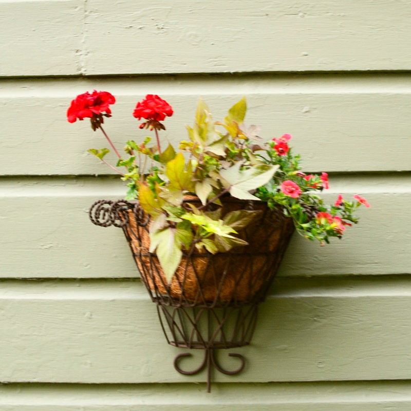 Plant Wall Pocket - Etsy