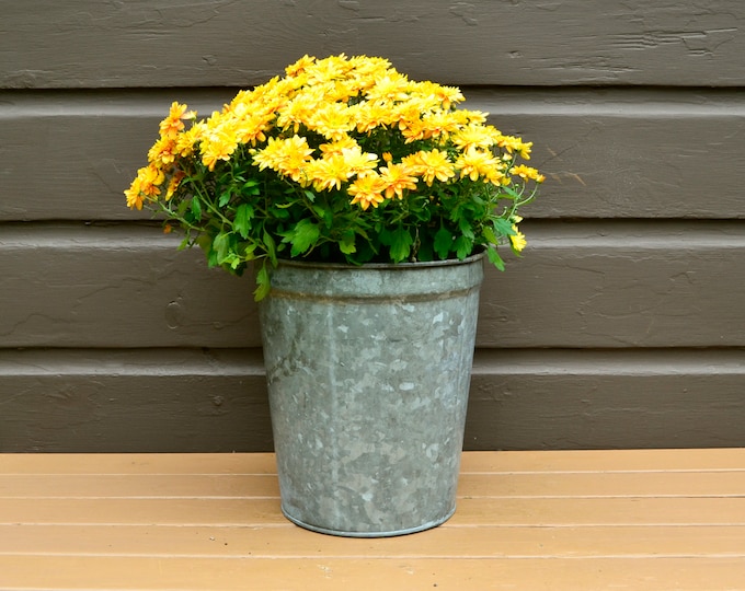 Vintage Sap Buckets - Etsy