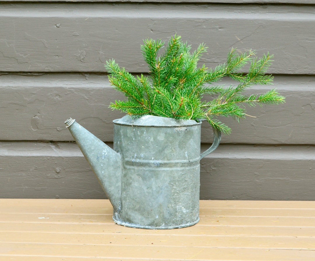 Galvanized Watering Can Vintage Rustic Water Can Leaky - Etsy