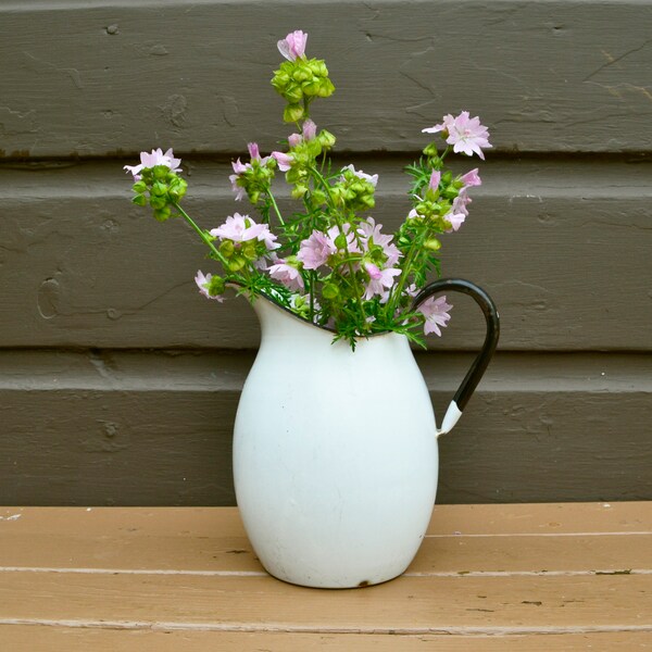 White Enamel Pitcher - Etsy