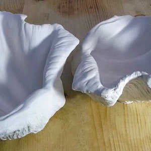 Two Small Giant Clam Shell Sculpture Art Ornament Bowl Vessel Handmade ...