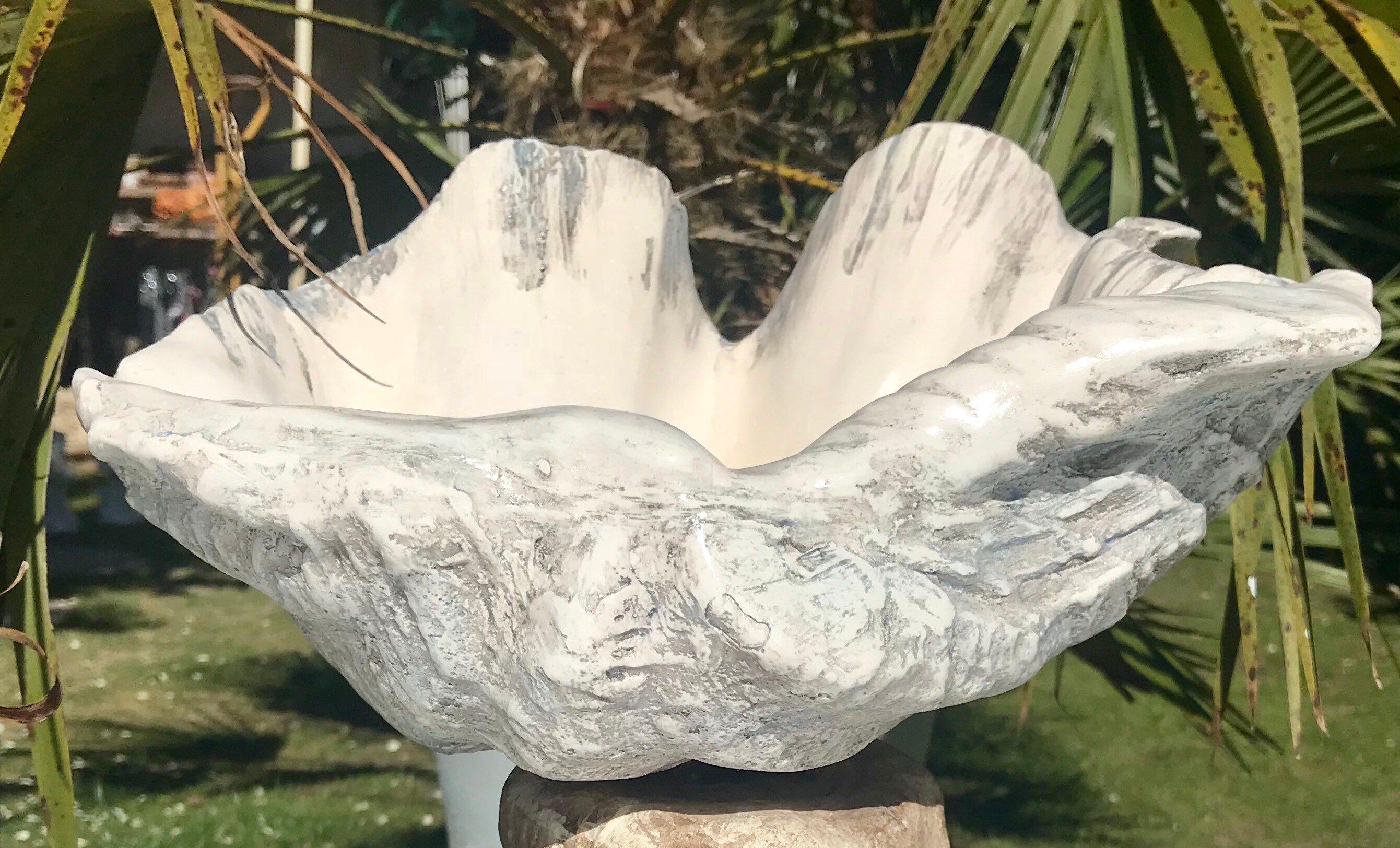 Small Driftwood Grey Giant Clam Shell Handmade Sculpture Ornament Bowl ...