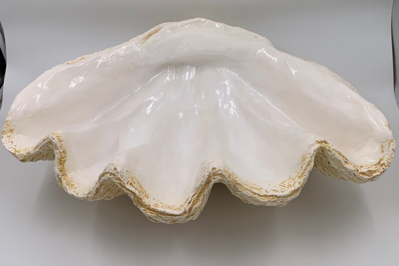 Handmade Caramel Giant Clam Shell Bowl Fruit Bowl Sculpture - Etsy
