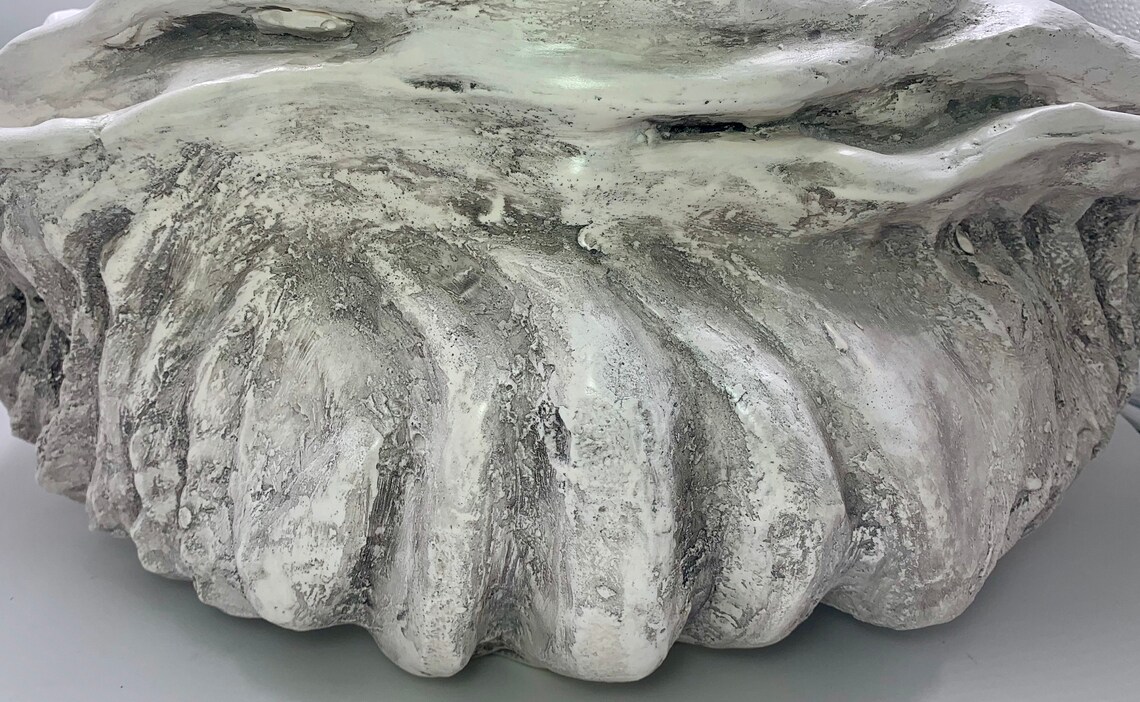 Giant Clam Shell Bathroom Sink Wash Basin Vessel Bowl in Contemporary ...