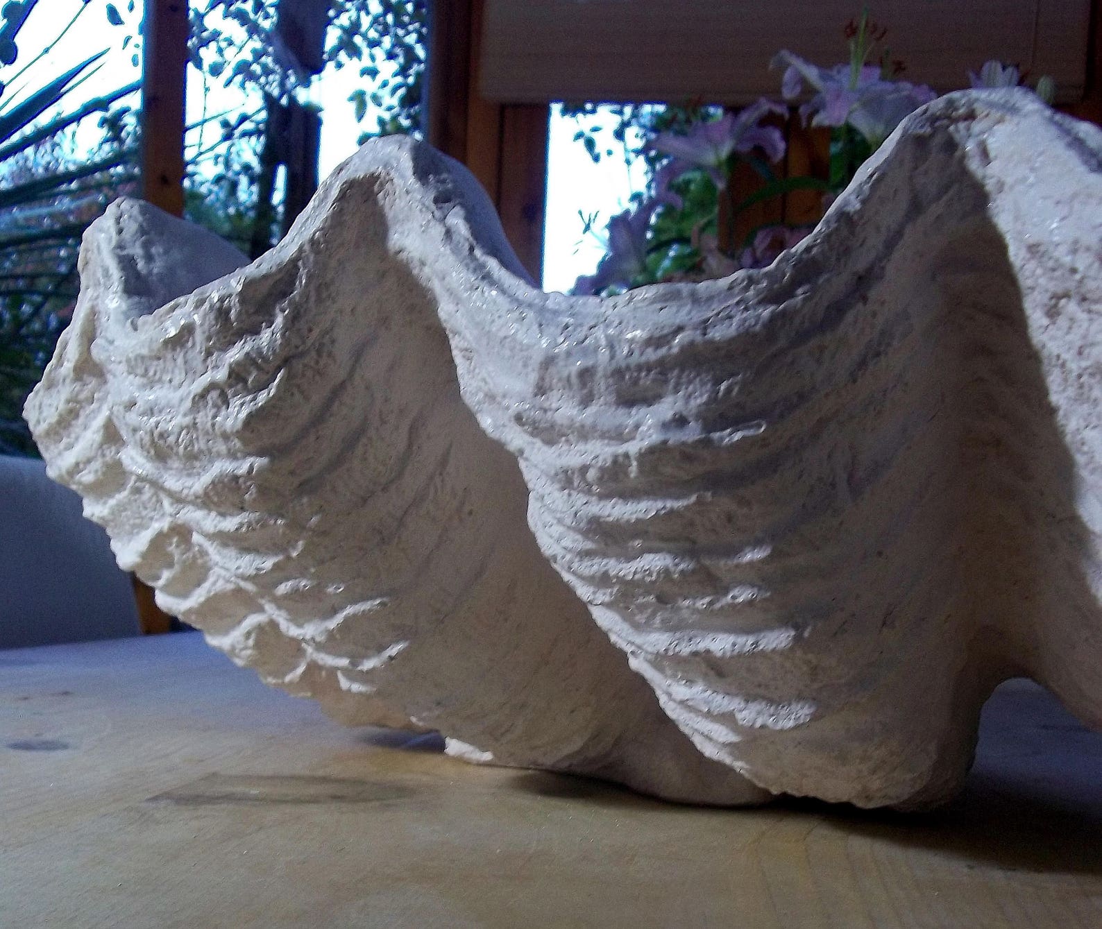 Giant Clam Shell Sculpture Art Stone Ornament Bowl Vessel | Etsy