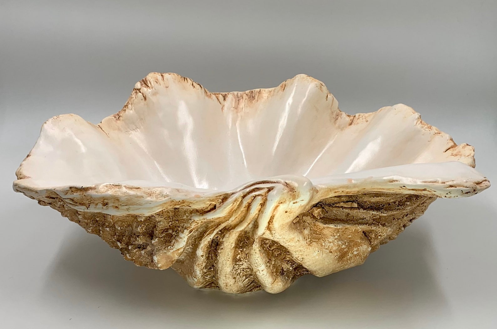 Medium Burnt Umber Giant Clam Shell Sculpture Art Ornament | Etsy