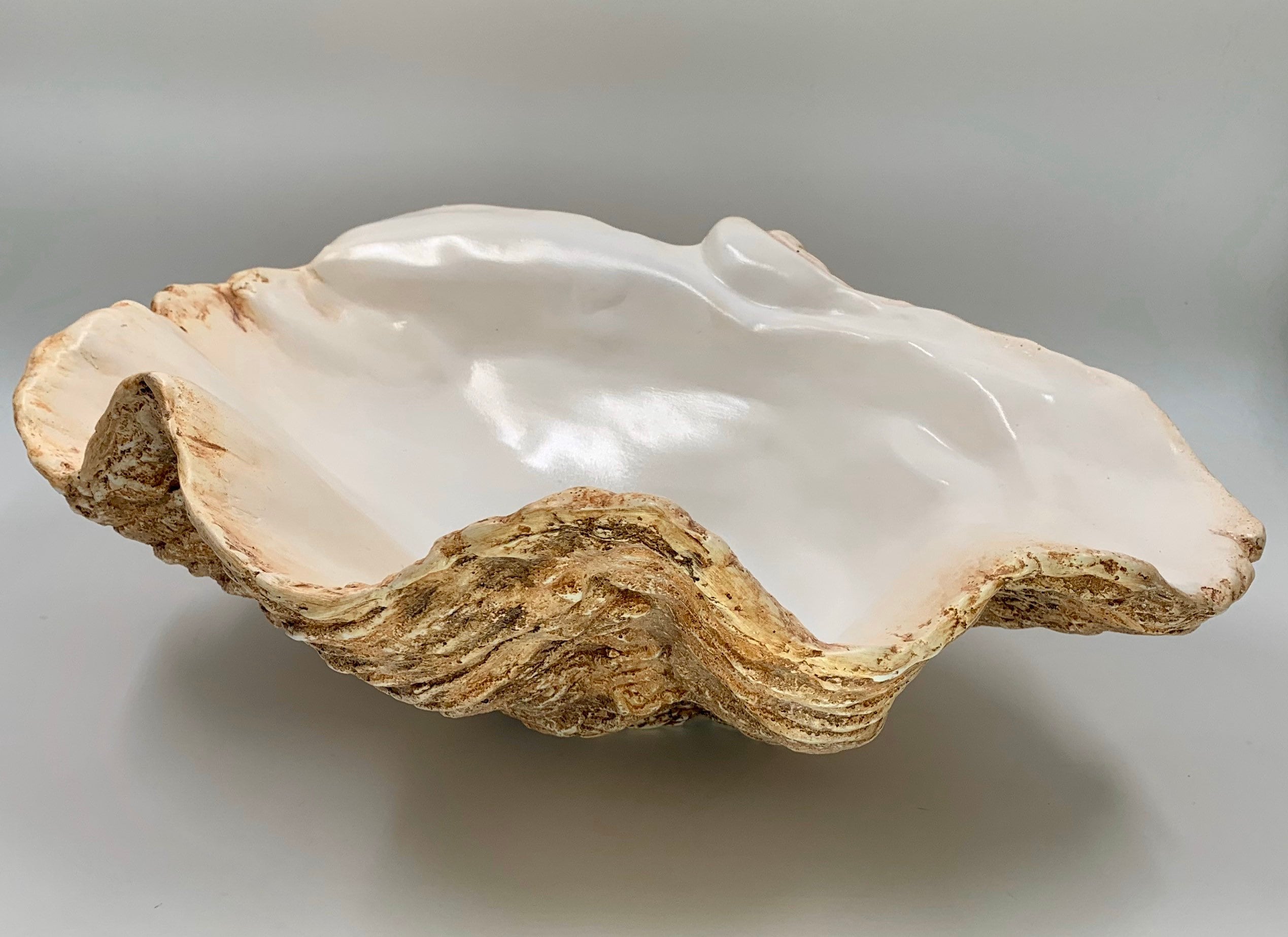 Medium Burnt Umber Giant Clam Shell Sculpture Art Ornament Bowl Vessel ...