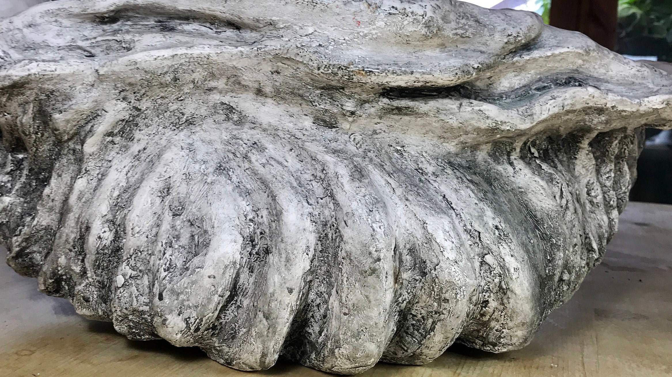 Giant Clam Shell Bathroom Sink Wash Basin Bowl Vessel Counter | Etsy UK