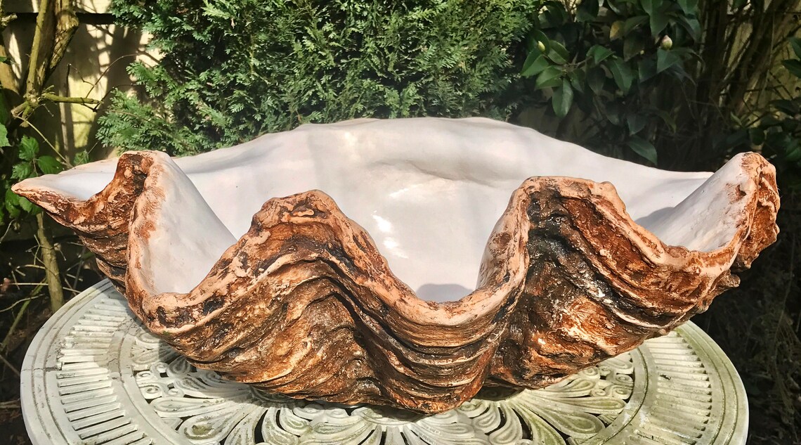 XL Burnt Umber Giant Clam Shell Sculpture Art Bowl Basin | Etsy
