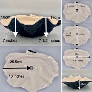 Giant Clam Shell Bathroom Sink Vessel Wash Basin Bowl Sculpture Art ...