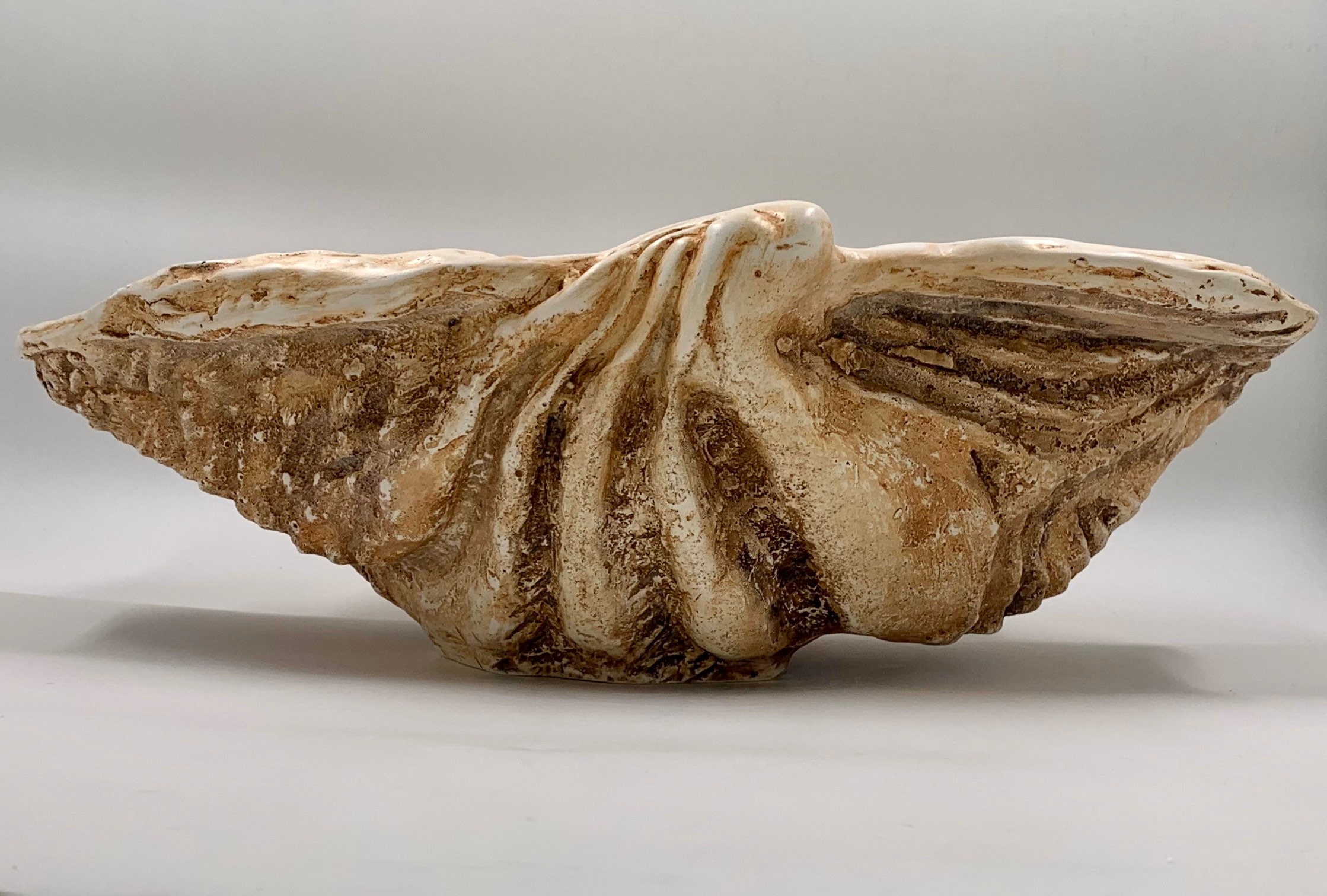 Medium Burnt Umber Giant Clam Shell Sculpture Art Ornament | Etsy