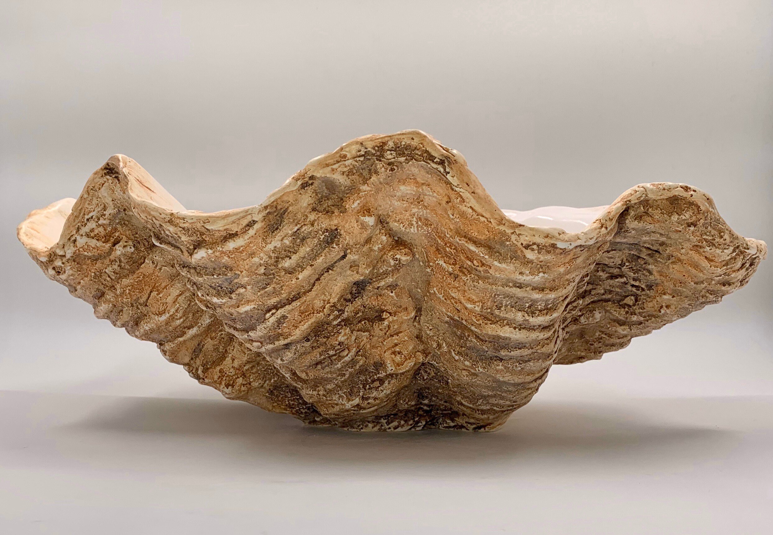 Medium Burnt Umber Giant Clam Shell Sculpture Art Ornament | Etsy