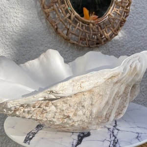 Medium Real Sand Giant Clam Shell Sculptured Art Contemporary ...
