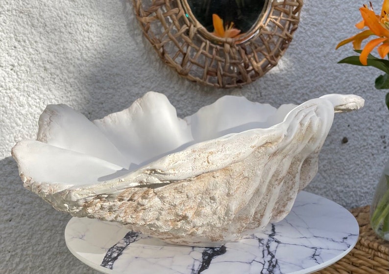 Medium Real Sand Giant Clam Shell Sculptured Art Contemporary ...
