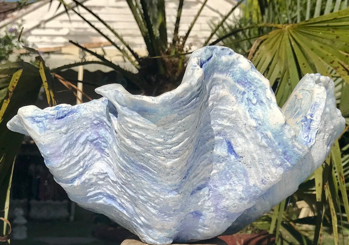 Small Giant Clam Shell Sculpture "courtney" in Loving Memory, Sky Blue ...
