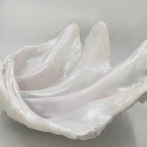 Serenity Large Antique White Giant Clam Shell Sculptured Art Sculpture ...