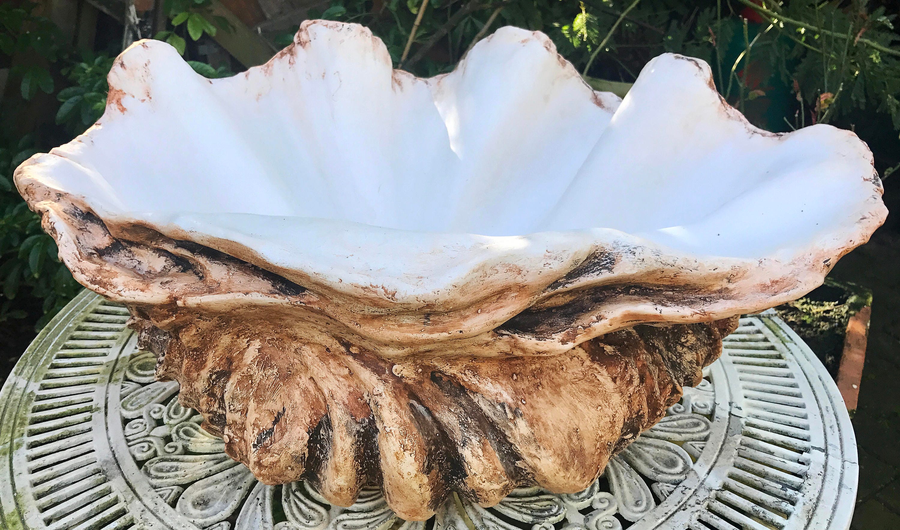 XL Burnt Umber Giant Clam Shell Sculpture Art Bowl Basin | Etsy