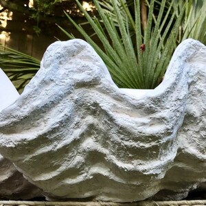 Large White Giant Clam Shell Hand Sculpture Art Home Interior Decor ...