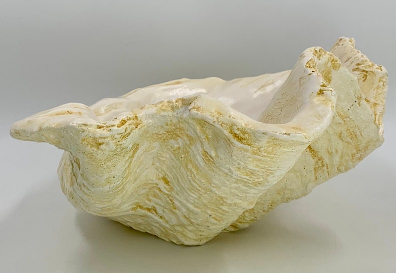 Small Caramel Giant Clam Shell Sculpture Art Ornament Bowl Handmadefor ...