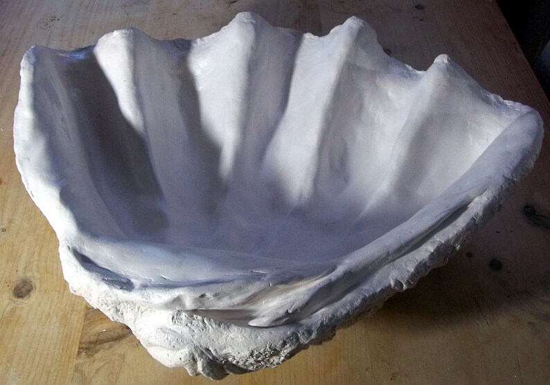 Giant Clam Shell Sculpture Art Stone Ornament Bowl Vessel - Etsy