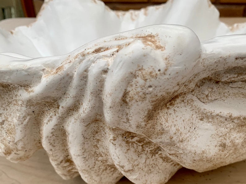 Medium Real Sand Giant Clam Shell Sculptured Art Contemporary ...