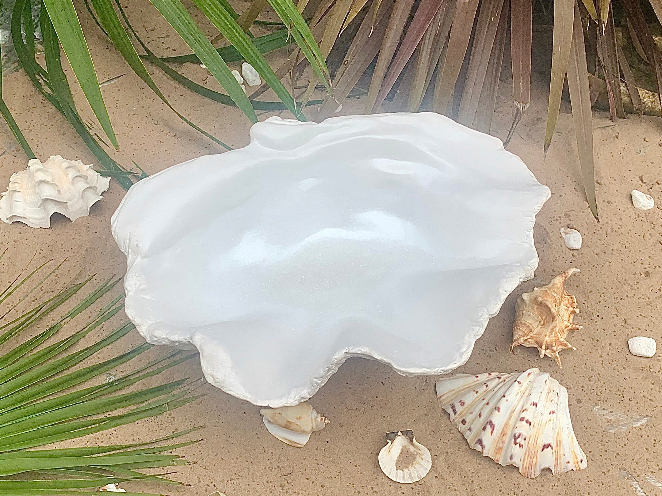 Medium White Giant Clam Shell Sculpture Art Finished in White | Etsy