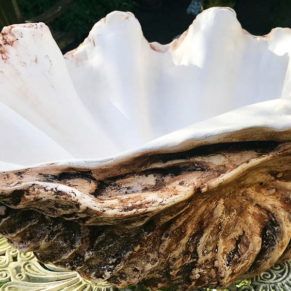 Clam Shell - Etsy