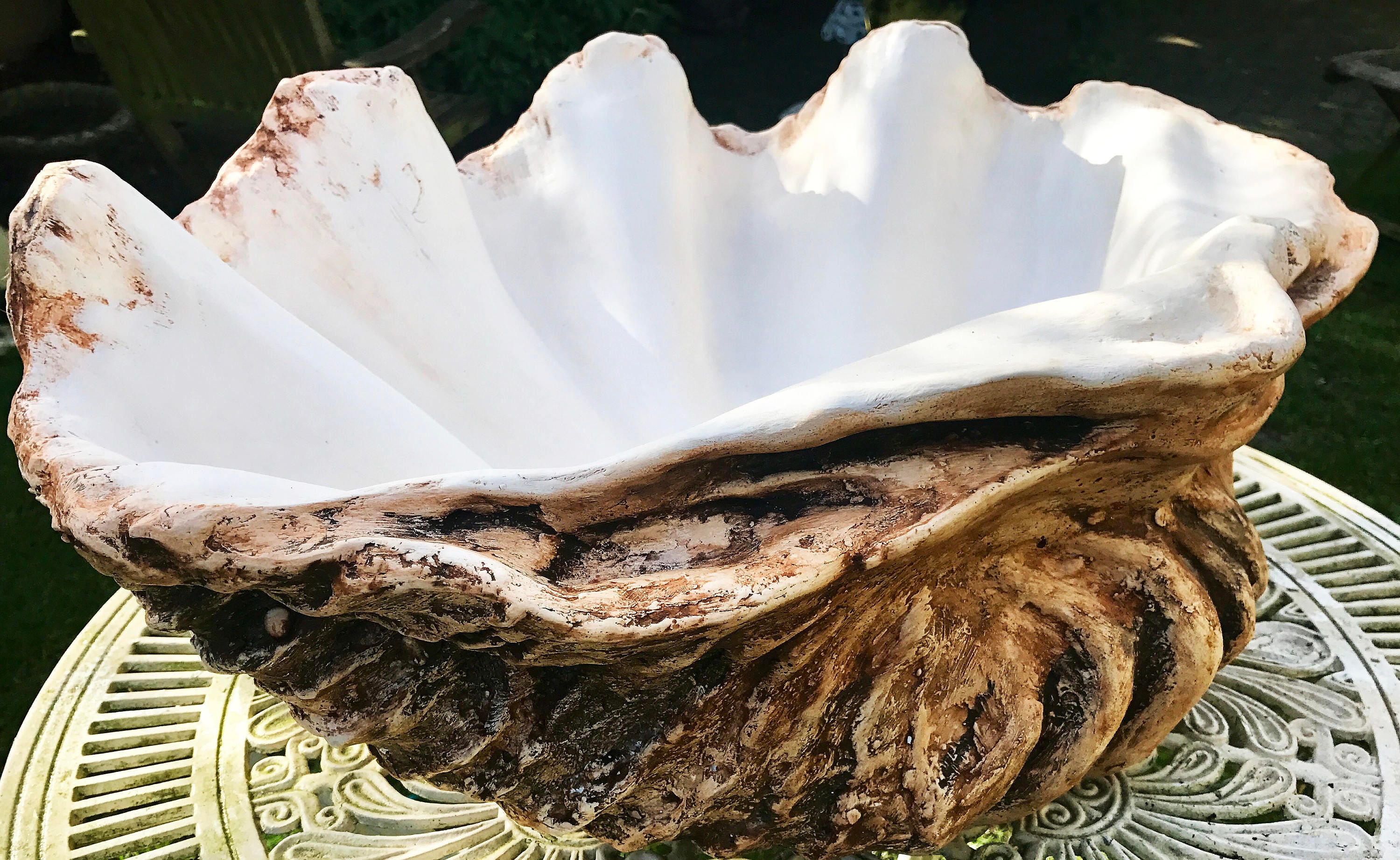 XXL Giant Clam Shell Sculpture Art Bowl Basin Vessel For Home | Etsy