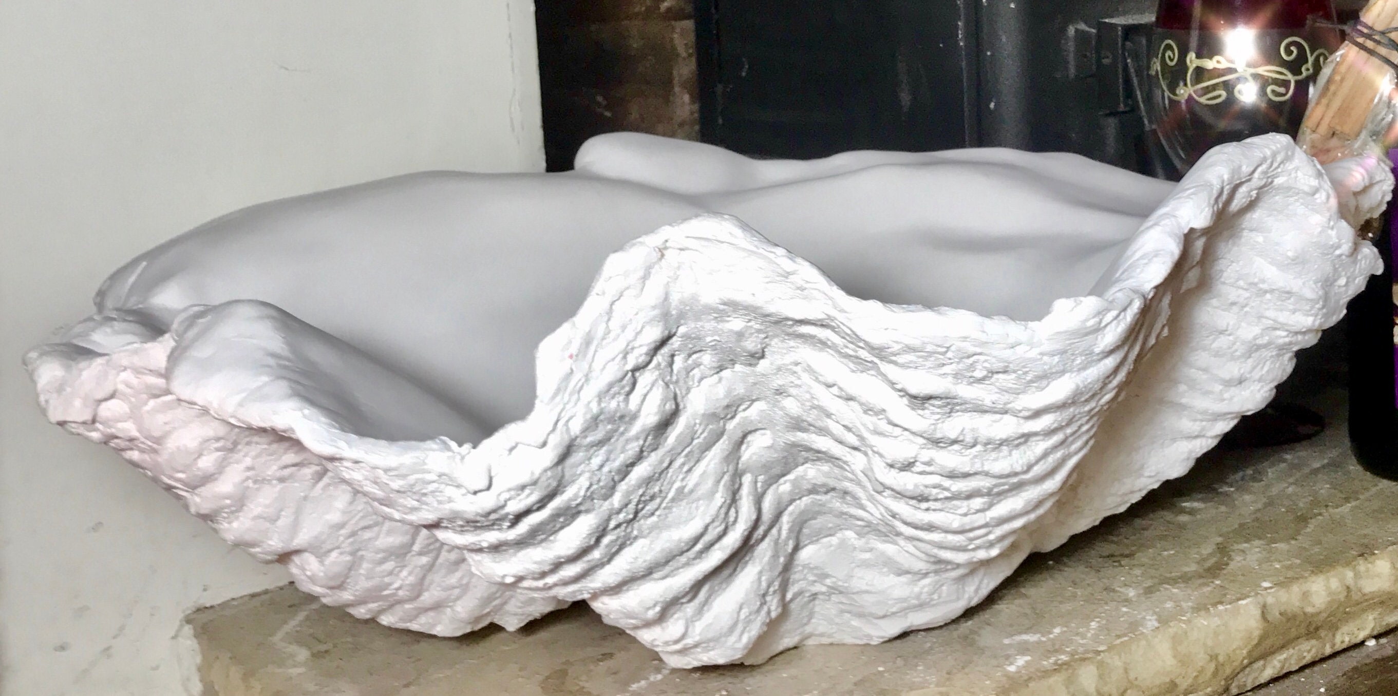 Medium White Giant Clam Shell Sculpture Art Finished in White | Etsy