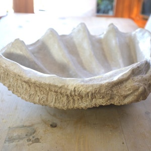 Caramel Giant Clam Shell Stylish Vessel Bowl Handmade Sculpture Art ...