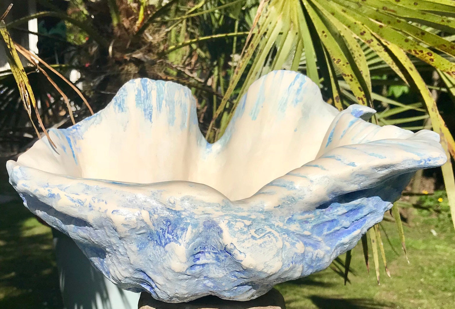 Small Giant Clam Shell Sculpture "courtney" in Loving Memory, Sky Blue ...