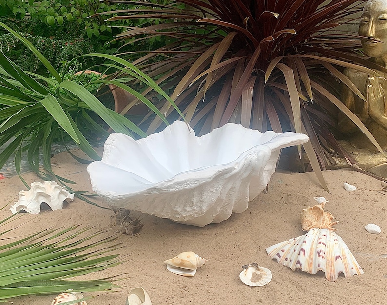 Medium White Giant Clam Shell Sculpture Art Finished in White Ornament ...