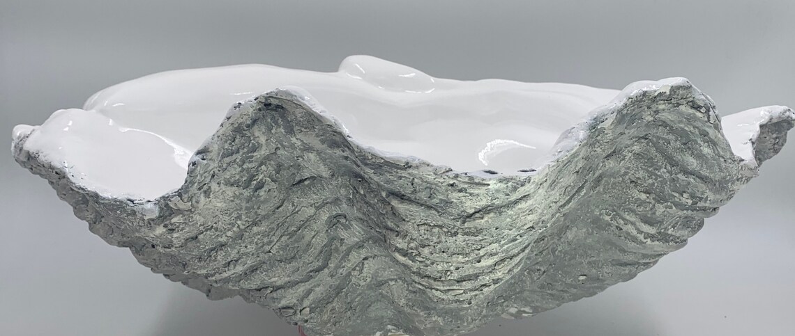 Giant Clam Shell Bathroom Sink Wash Basin Bowl Vessel Counter | Etsy