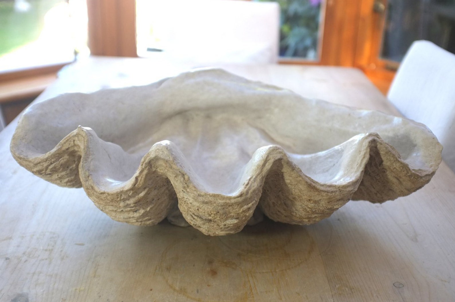 Caramel Giant Clam Shell Nautical Marine Sculpture Art | Etsy