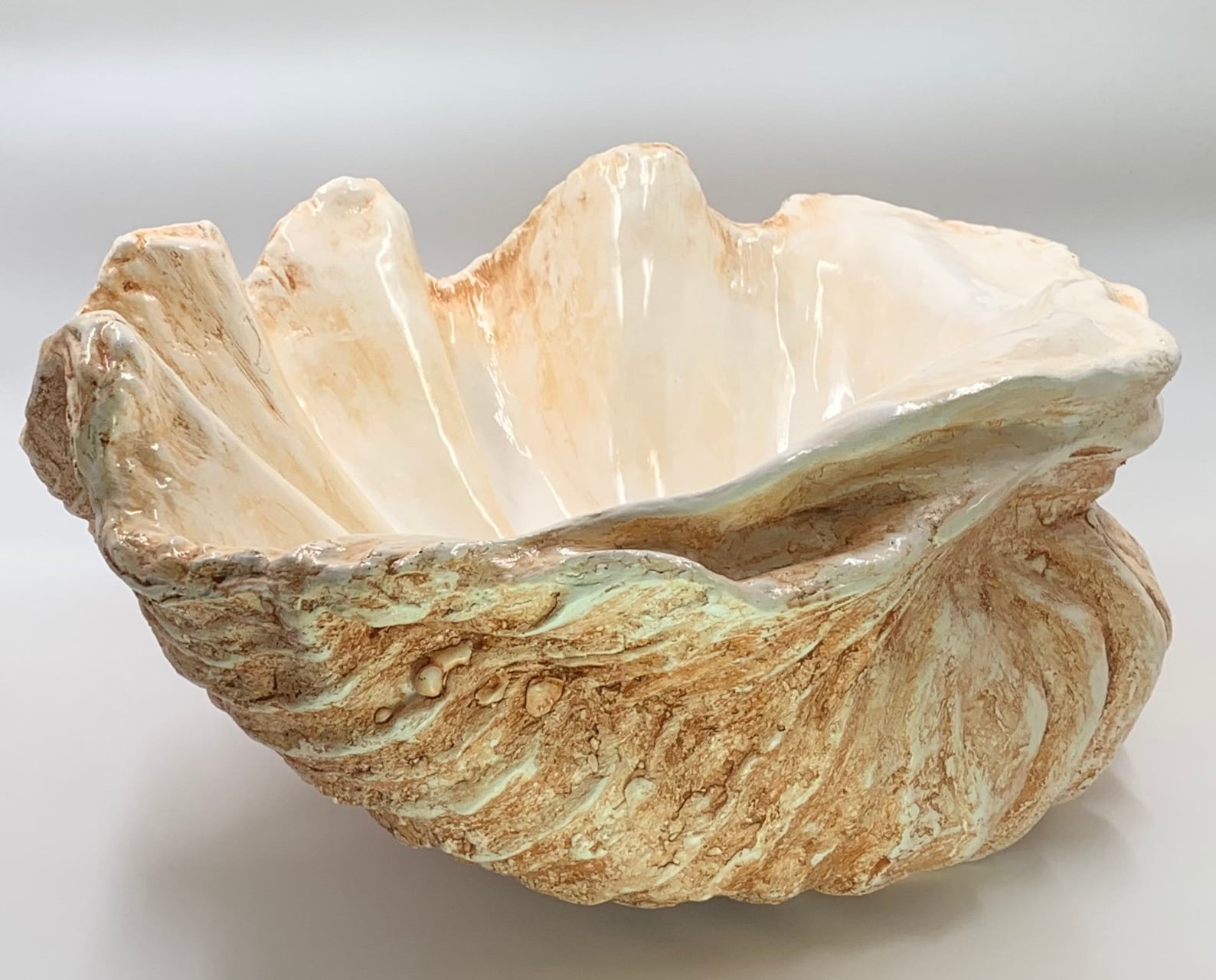 XL Contemporary Tobacco Giant Clam Shell Sculpture a Piece of Art in ...