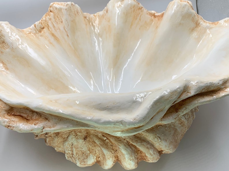 XL Contemporary Tobacco Giant Clam Shell Sculpture a Piece of Art in ...
