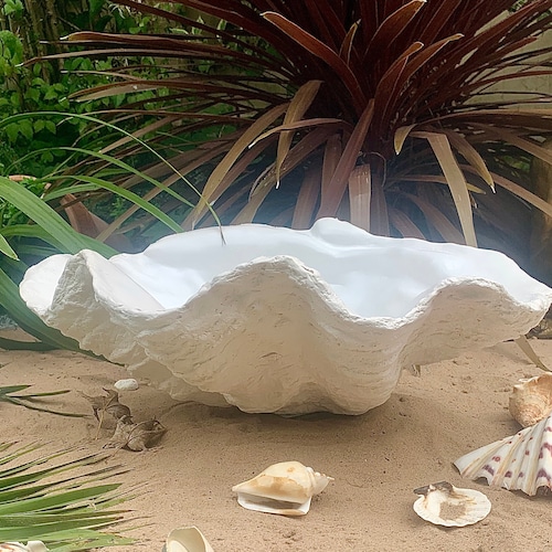 Giant Clam Shell Sculpture Art Stone Ornament Bowl Vessel | Etsy