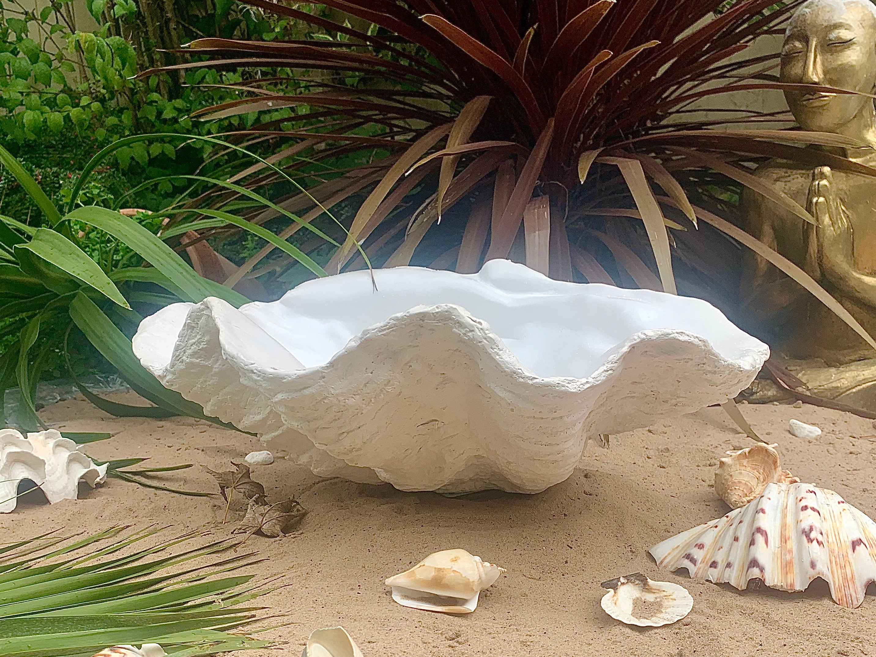 Giant Clam Shell Prop