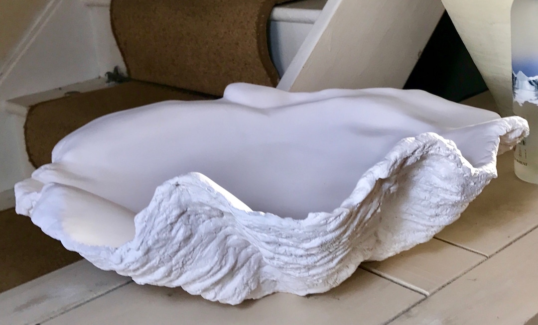 Medium White Giant Clam Shell Sculpture Art Finished in White Ornament ...
