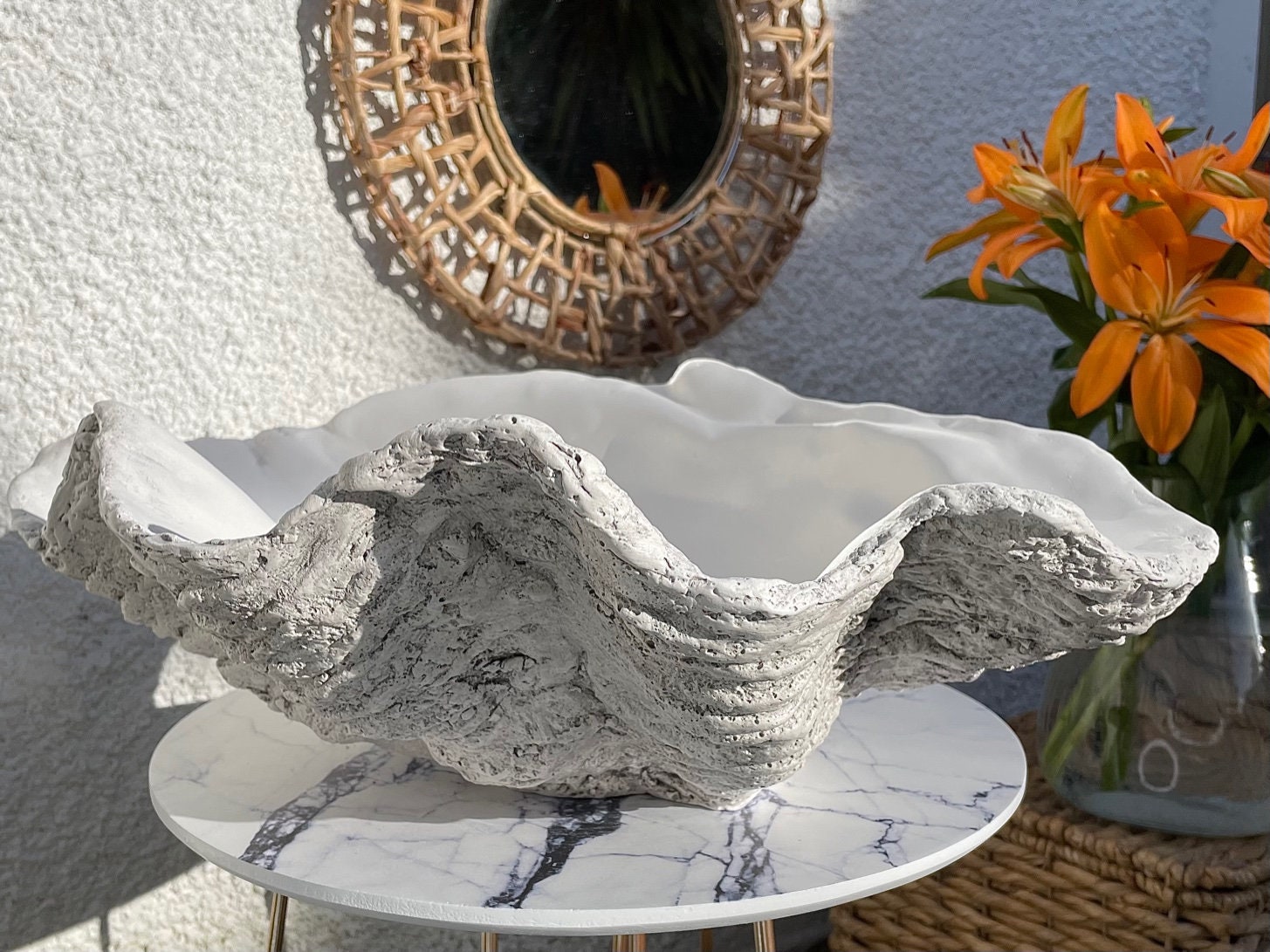 Medium Light Grey Giant Clam Shell Sculptured Art Contemporary | Etsy