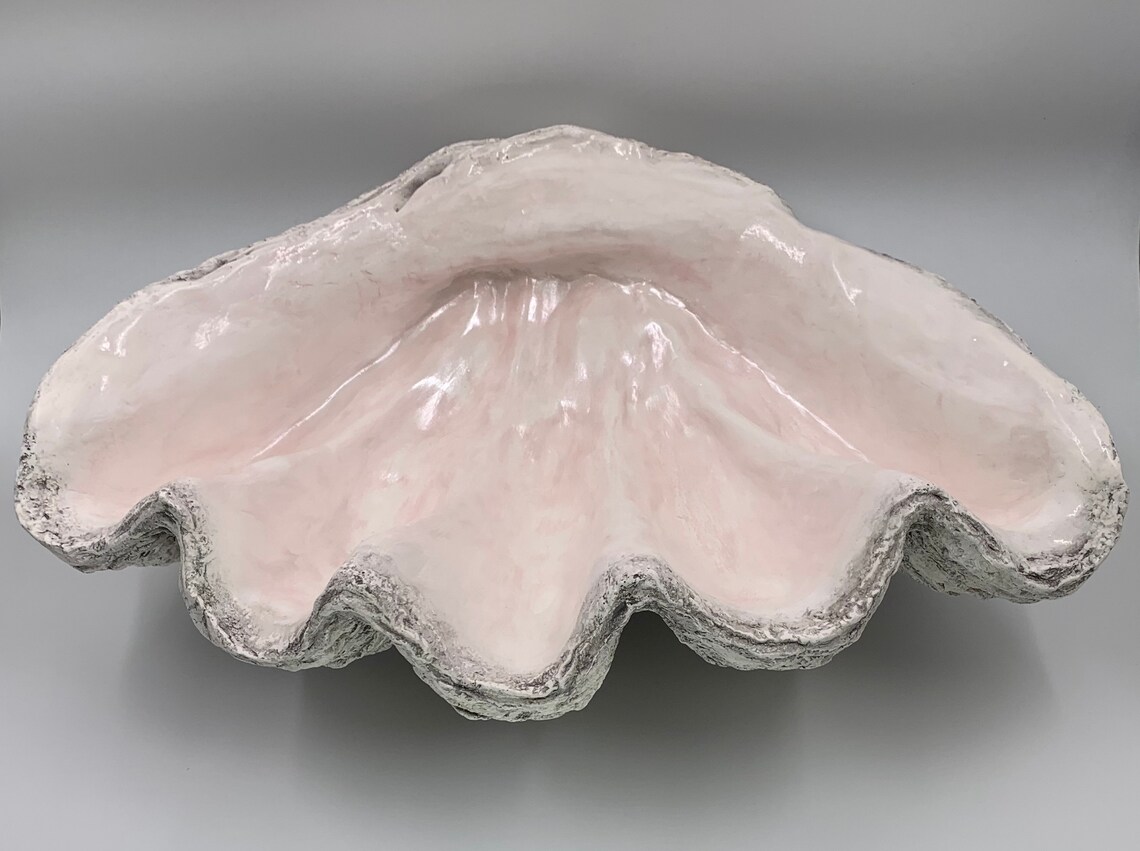 Light Grey Giant Clam Shell Sculpture Contemporary Centerpiece - Etsy