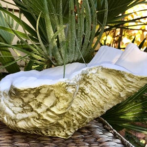 Small Gold Fleck Giant Clam Shell Sculpture Ornament Bowl Handmade for ...