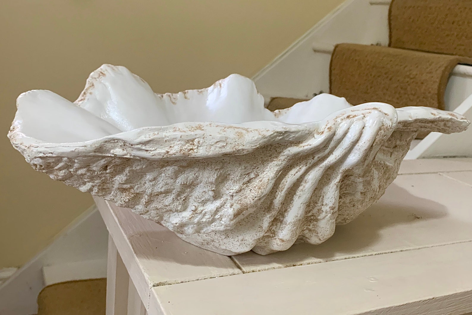 Medium Real Sand Giant Clam Shell Sculptured Art Contemporary ...