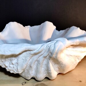 Giant Clam Shell "alice" Sculpture Art Gem Encrusted Limited Edition ...