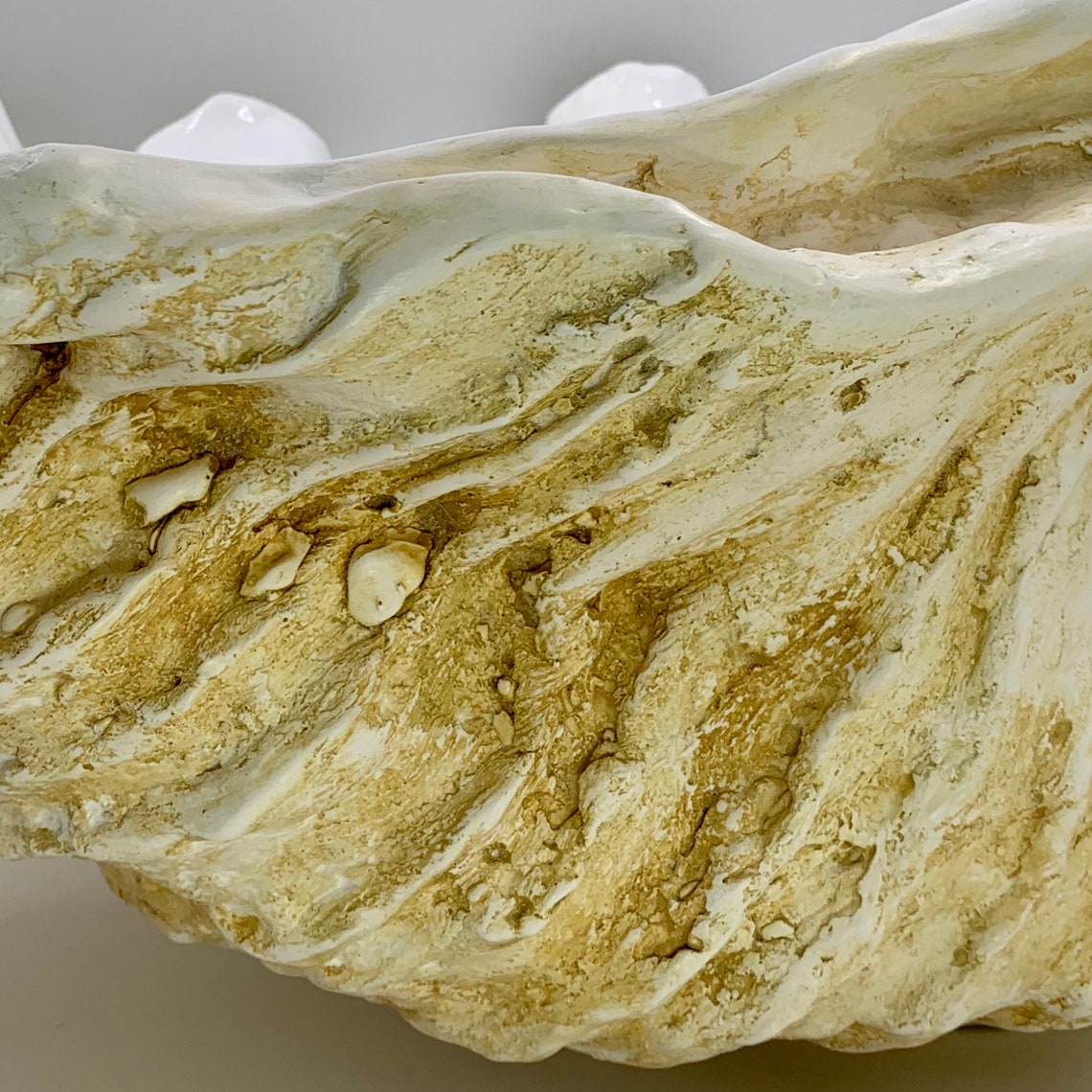 Giant Clam Shell Bathroom Sink Wash Basin Vessel Bowl in Caramel ...