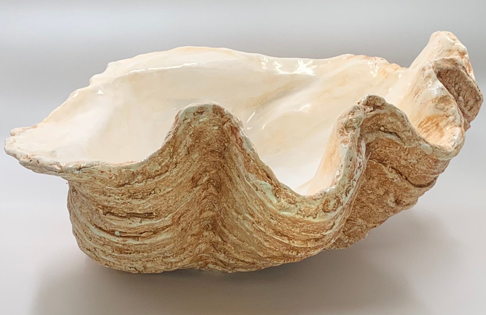 XL Contemporary Tobacco Giant Clam Shell Sculpture a Piece of Art in ...