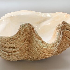 Giant Clam Shell Sculpture Bowl - Etsy