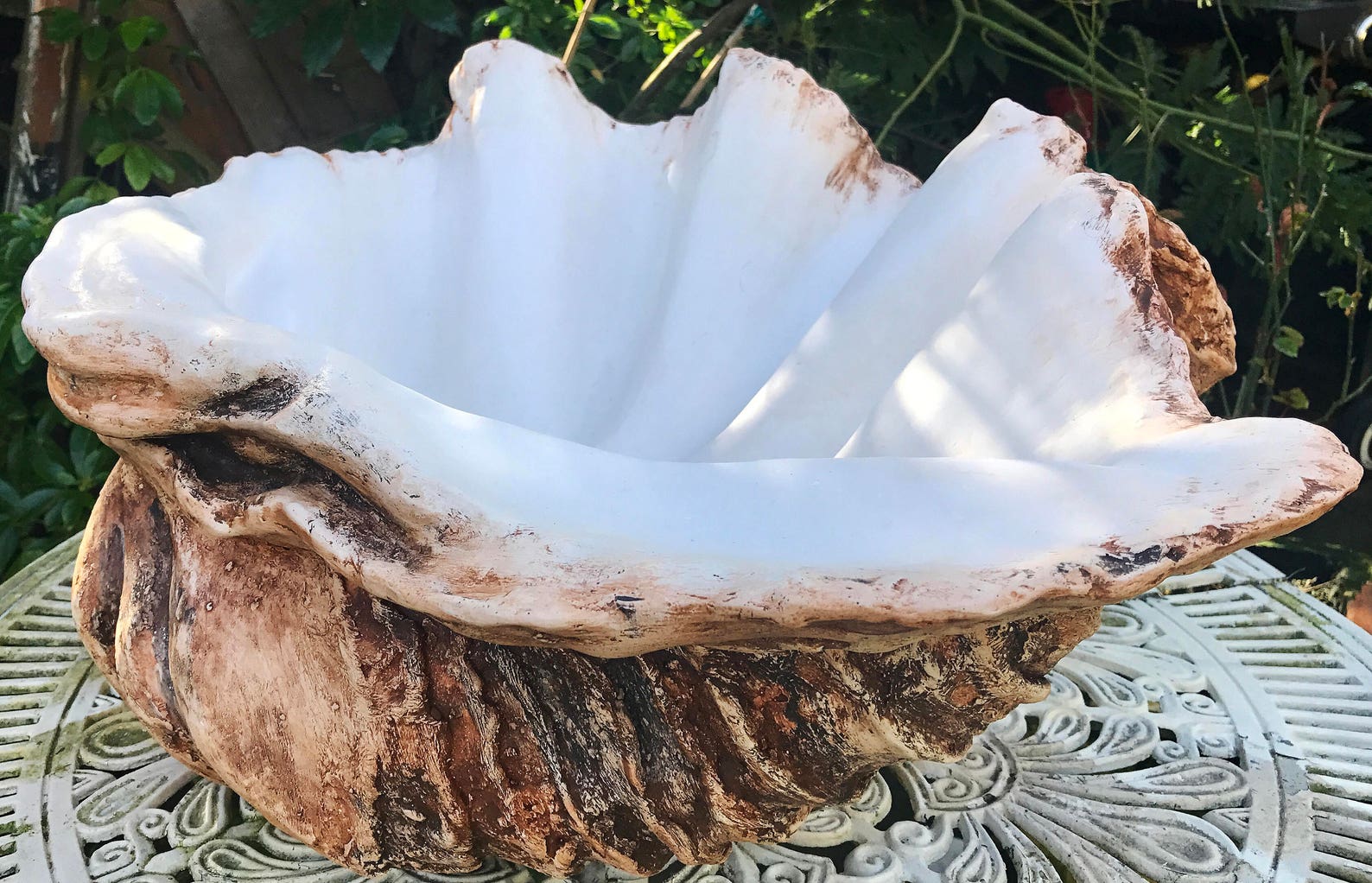 XL Burnt Umber Giant Clam Shell Sculpture Art Bowl Basin | Etsy